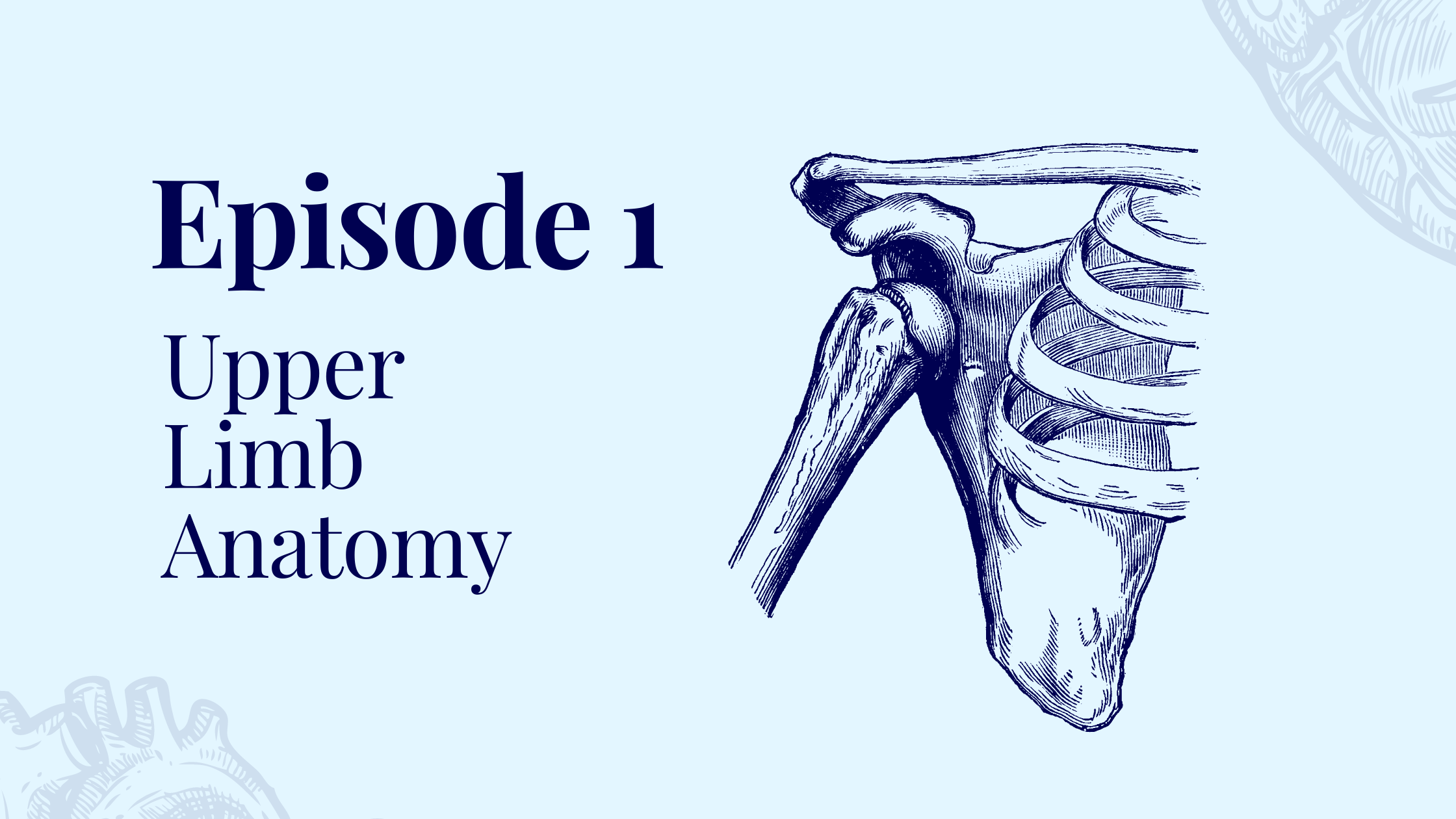 Episode 1 - Upper Limb Anatomy with Dr. Charlotte Greenfield - Primary Cast