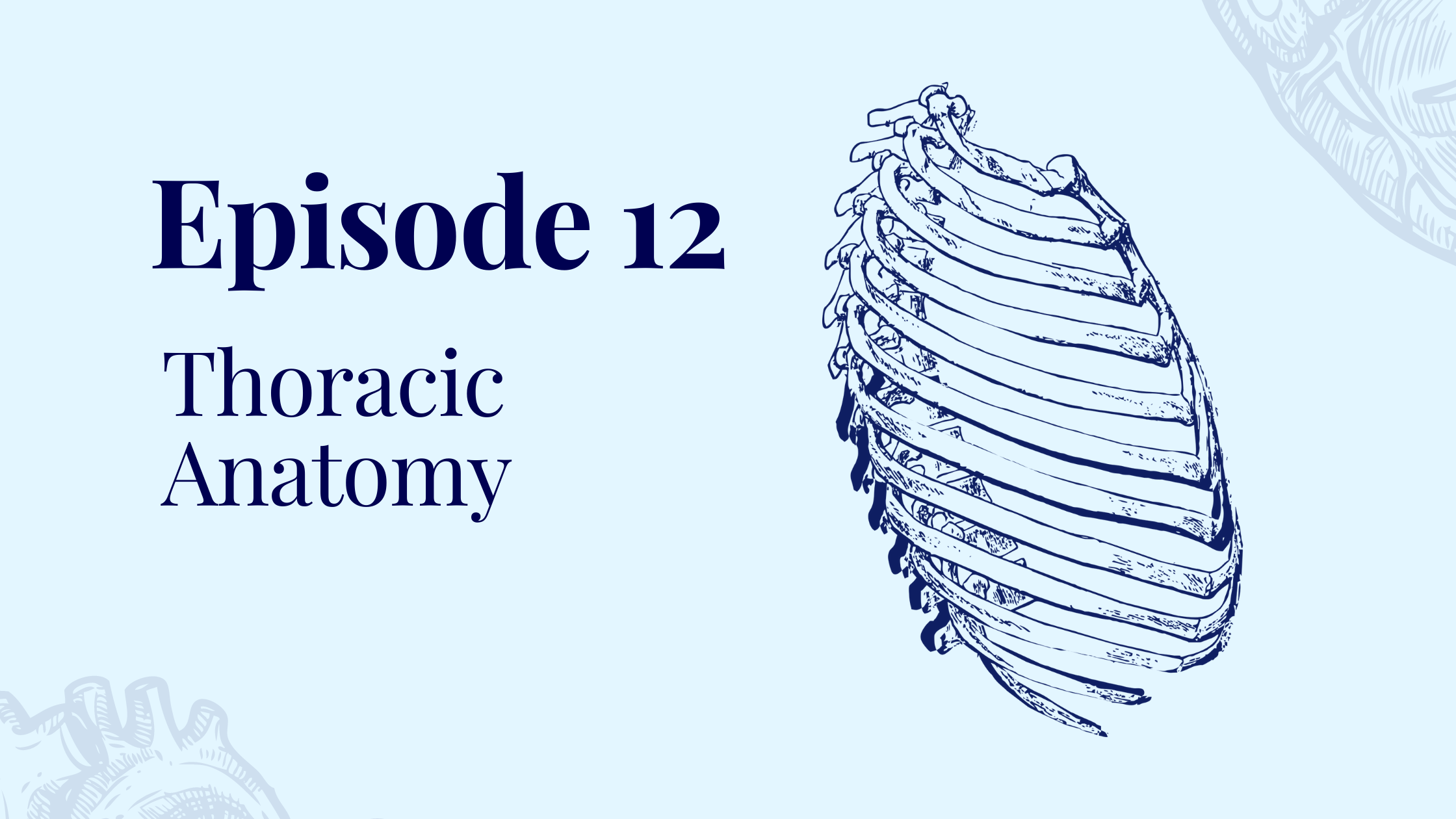 Episode 12 - Thoracic Anatomy with Dr. Aruna Shivam - Primary Cast