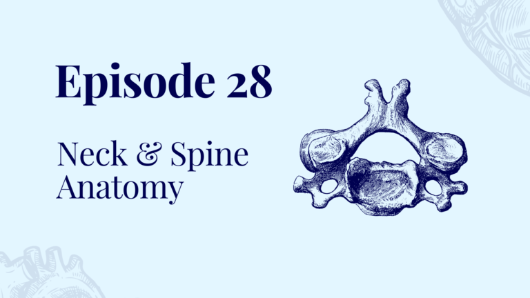 Episode 28 - Neck and Spine Anatomy with Dr. Susan Lammi - Primary Cast