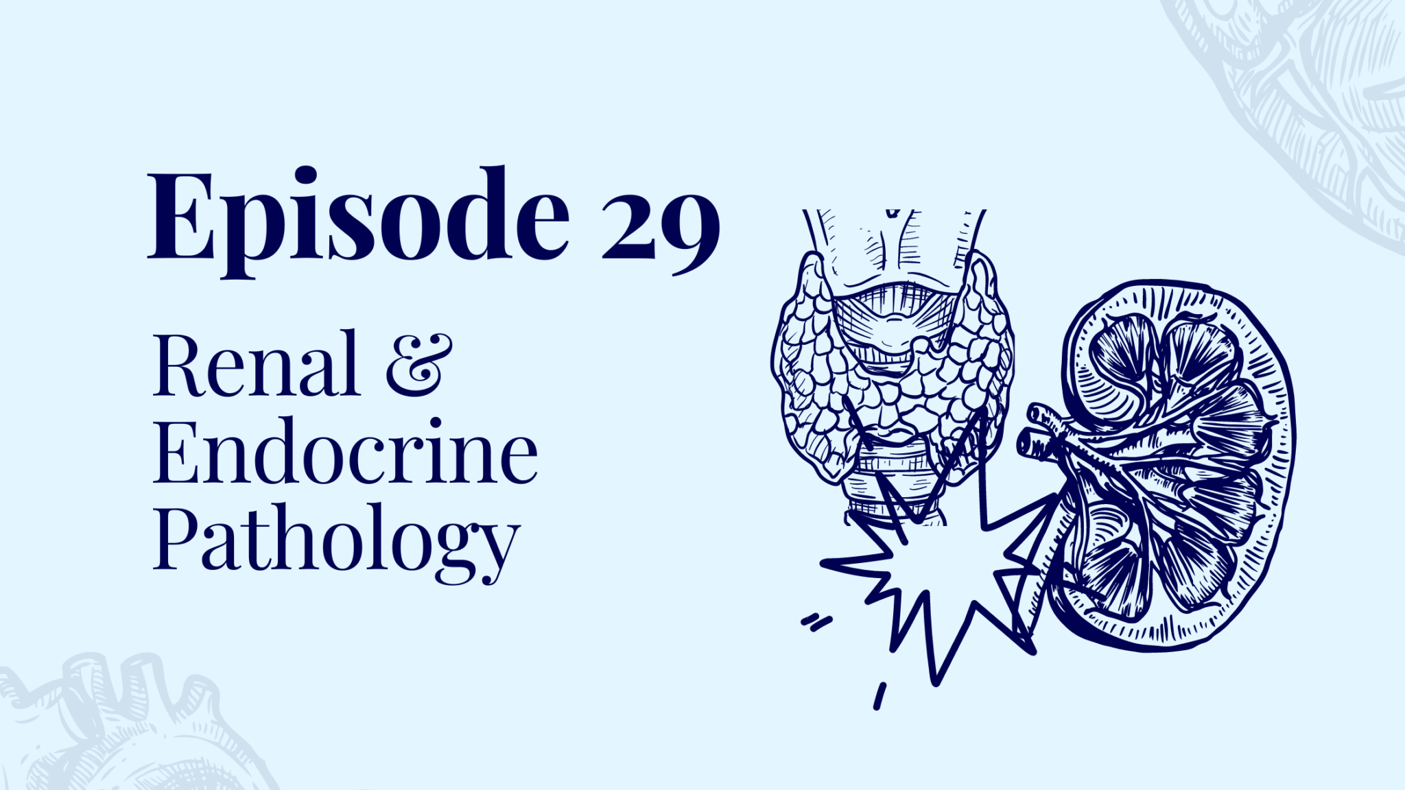Episode 29 - Renal & Endocrine Pathology with Dr. Jacqui Downey ...